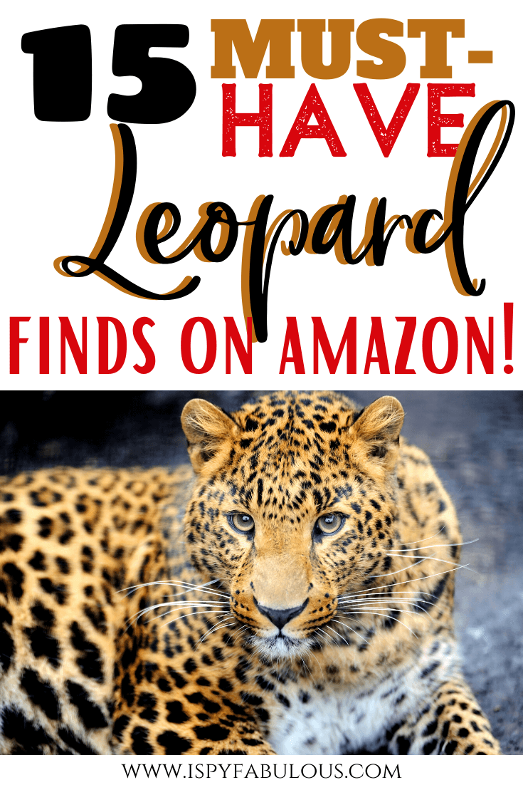 15 Fierce Leopard Print Fashion Finds on Amazon! - I Spy Fabulous