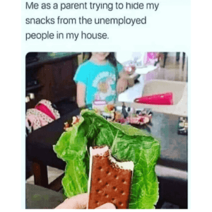 15 Hilarious Parenting Memes That All Parents Will Understand! - I Spy ...