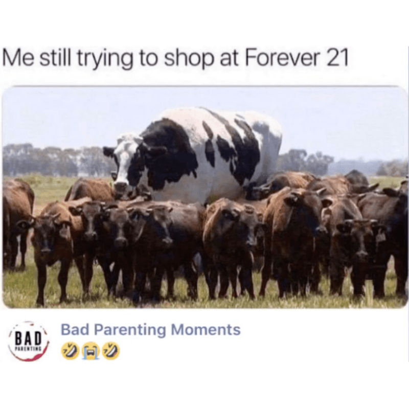 15 Hilarious Parenting Memes That All Parents Will Understand! - I Spy ...