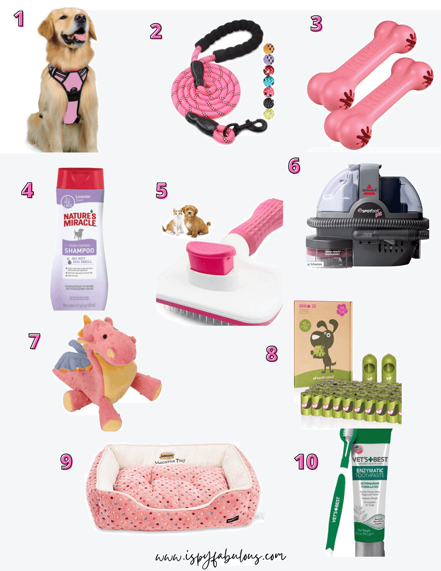 10 Must-Have Dog Supplies for your Furry Best Friend! - I Spy Fabulous