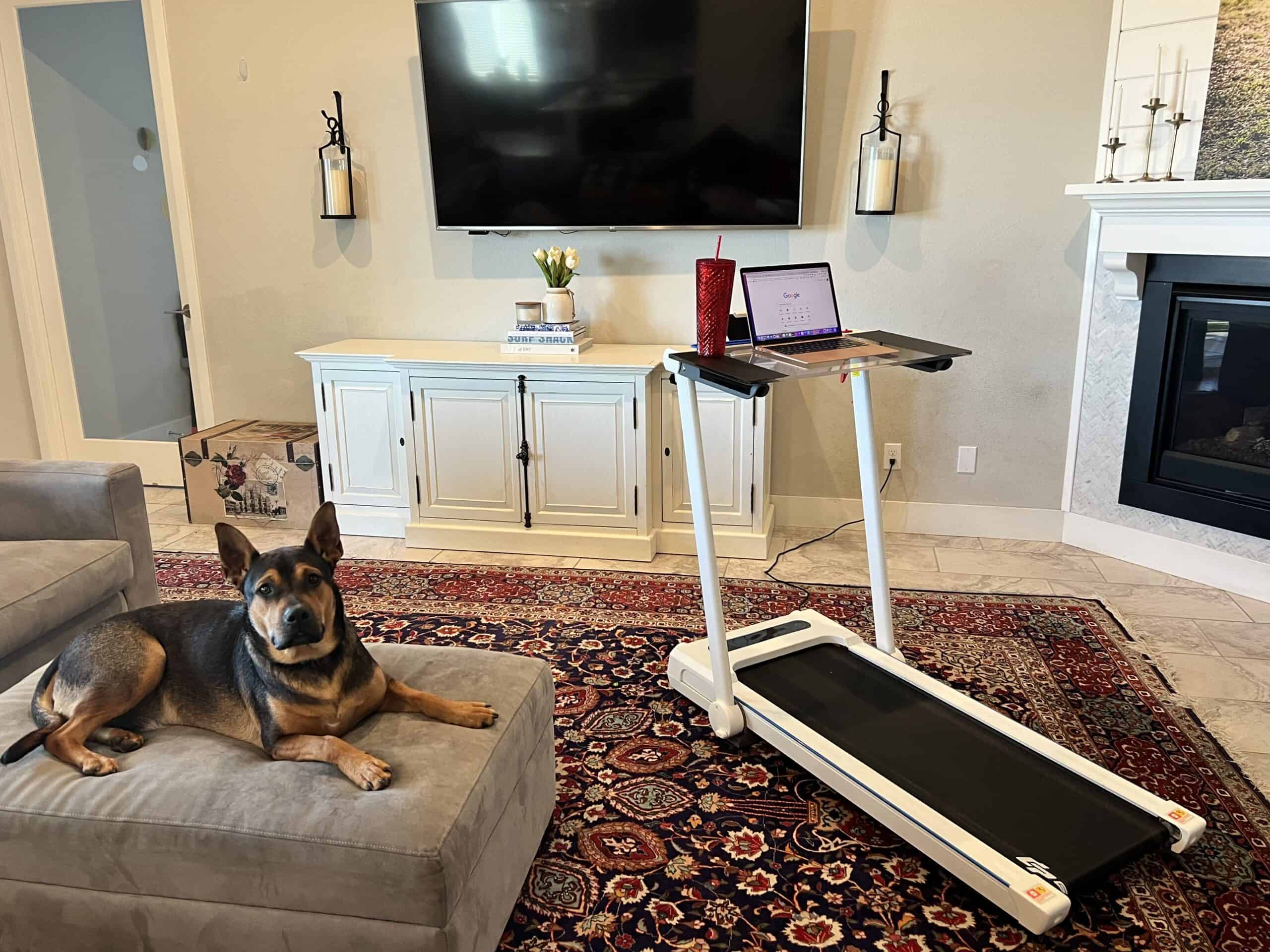 How To Walk 10 000 Steps A Day Time Weight Loss Mini Treadmills
